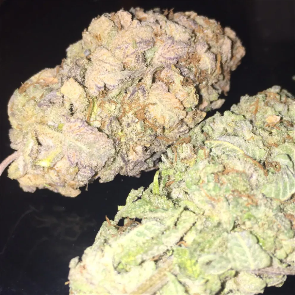 Photos of Purple Urkle Weed Strain Buds | Leafly