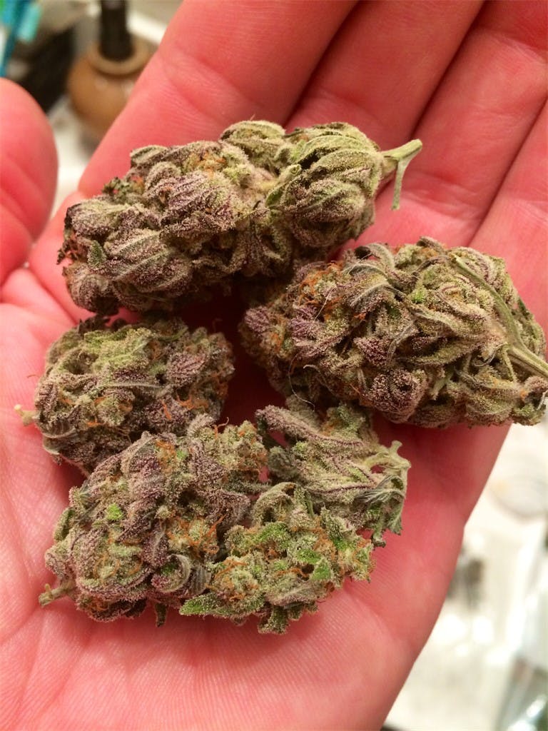 Photos of Purple Wreck Weed Strain Buds | Leafly