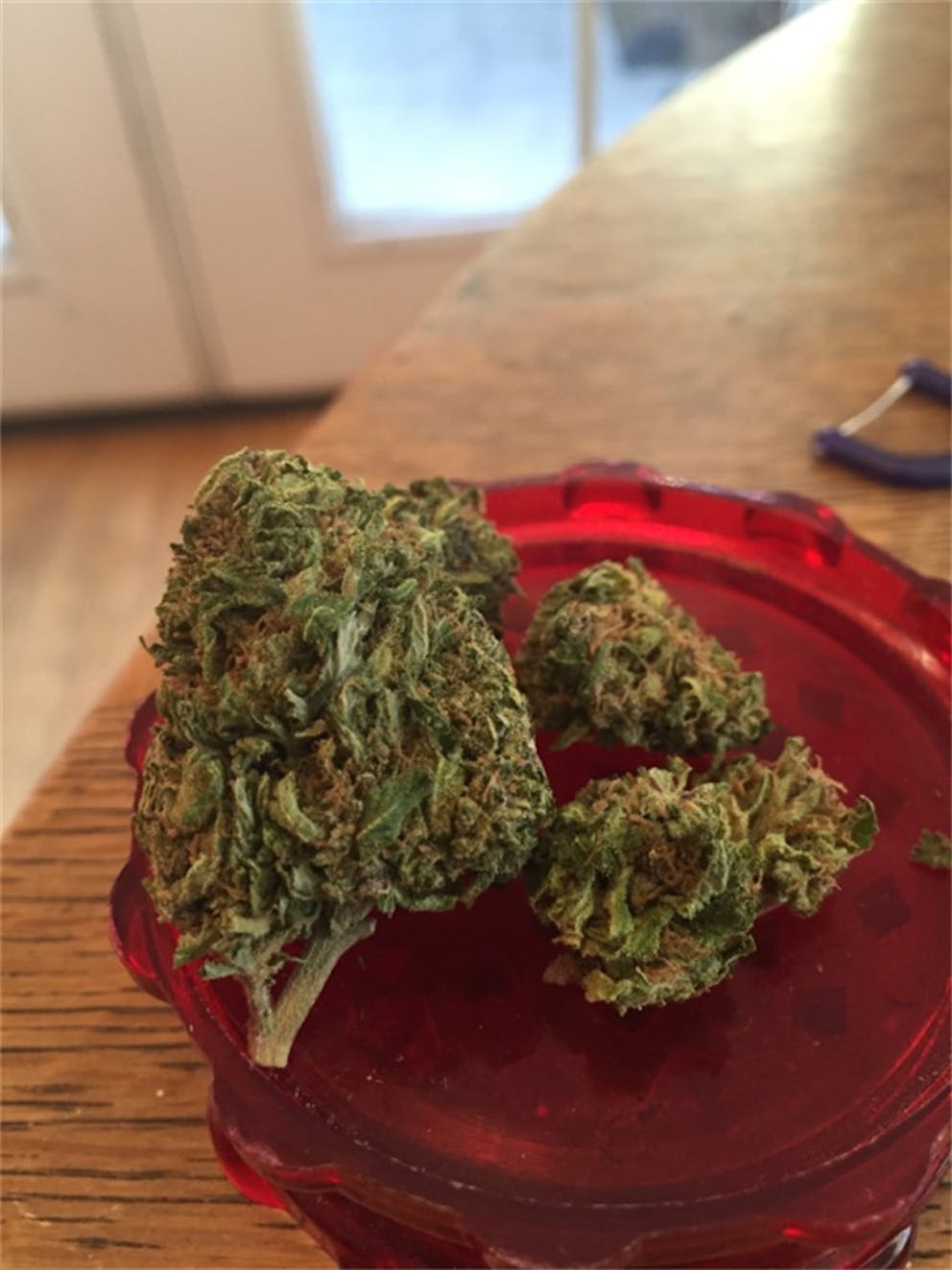 Photos of Quantum Kush Weed Strain Buds | Leafly