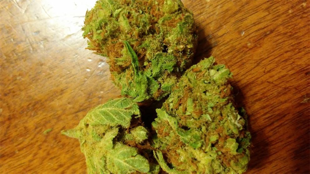 Photos of Querkle Weed Strain Buds | Leafly