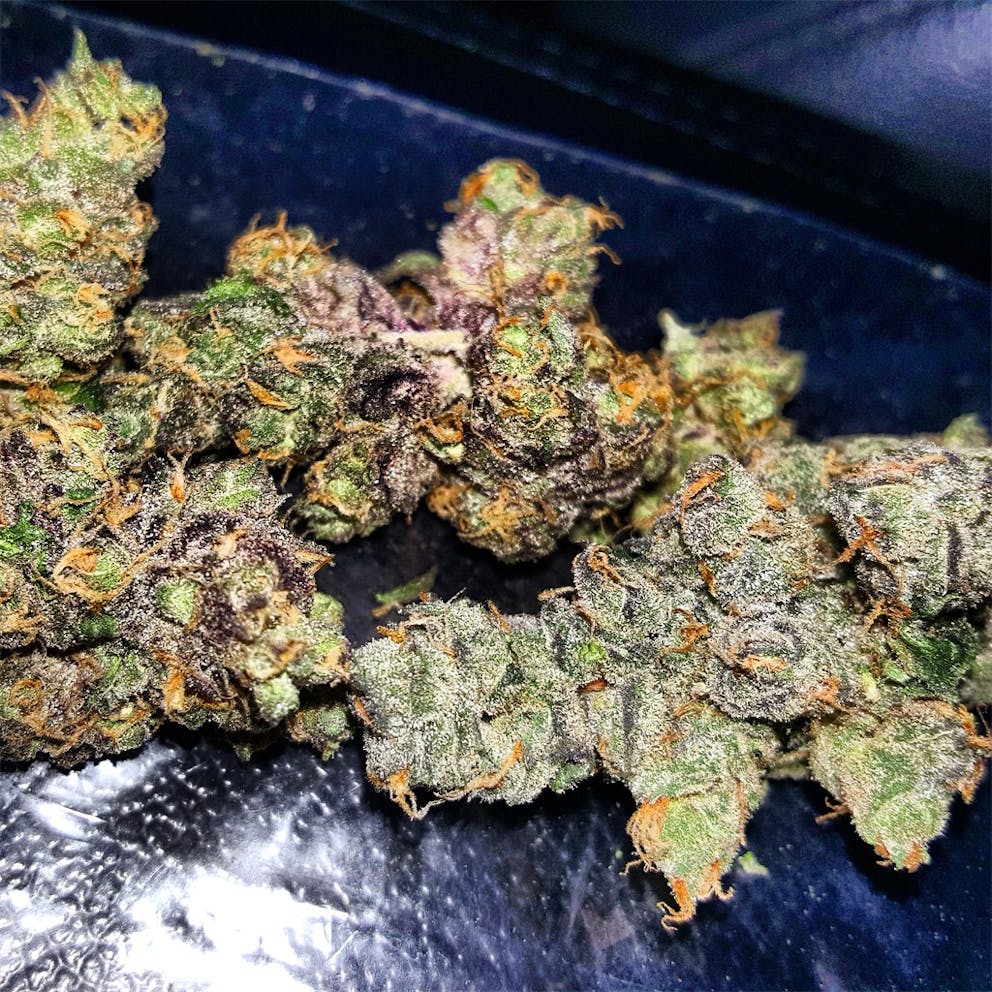 Photos of Querkle Weed Strain Buds | Leafly