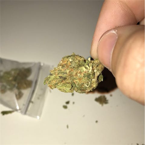 Raskal OG aka Raskal OG Kush Weed Strain Information | Leafly