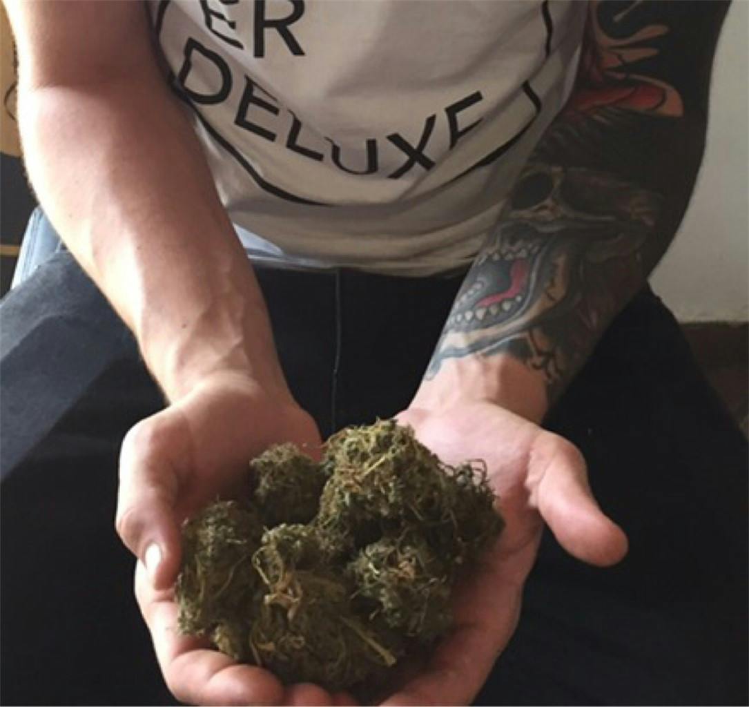 Photos of Raspberry Cough Weed Strain Buds | Leafly