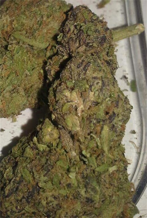 Recon aka ReCon, Recon OG Weed Strain Information | Leafly