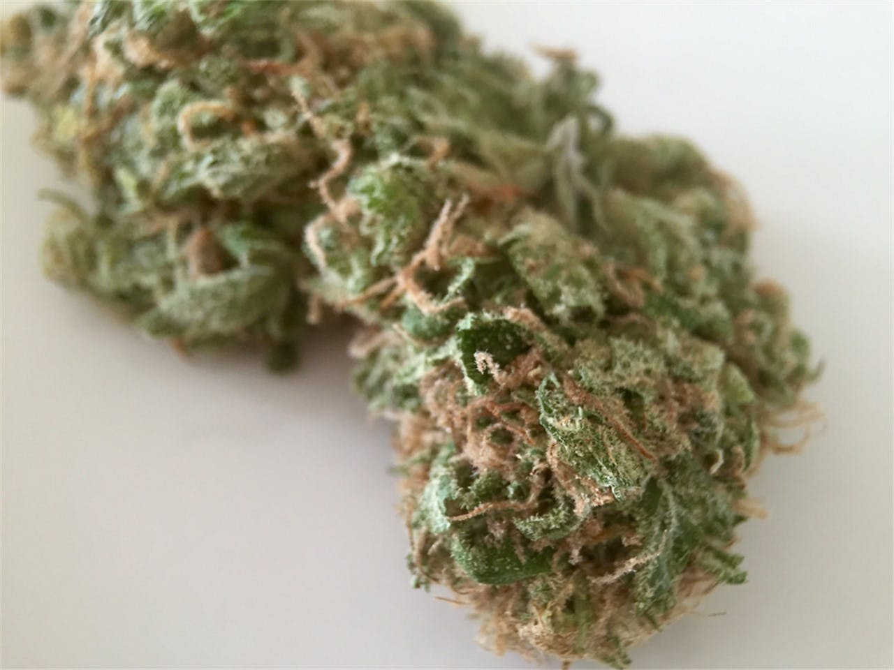 Photos of Red Congolese Weed Strain Buds | Leafly