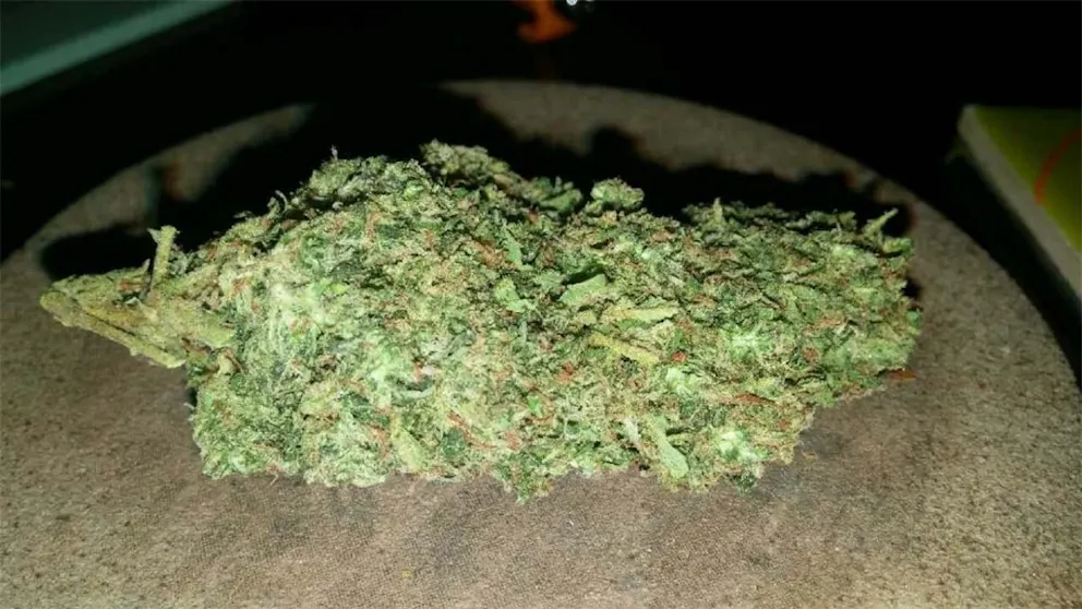Photos of Red Dragon Weed Strain Buds | Leafly