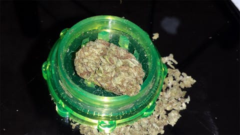 Red Haze aka Colombian Red Haze Weed Strain Information | Leafly