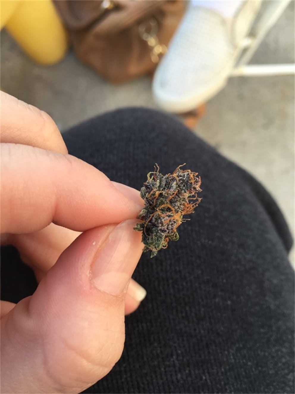 Photos of Red Poison Weed Strain Buds | Leafly