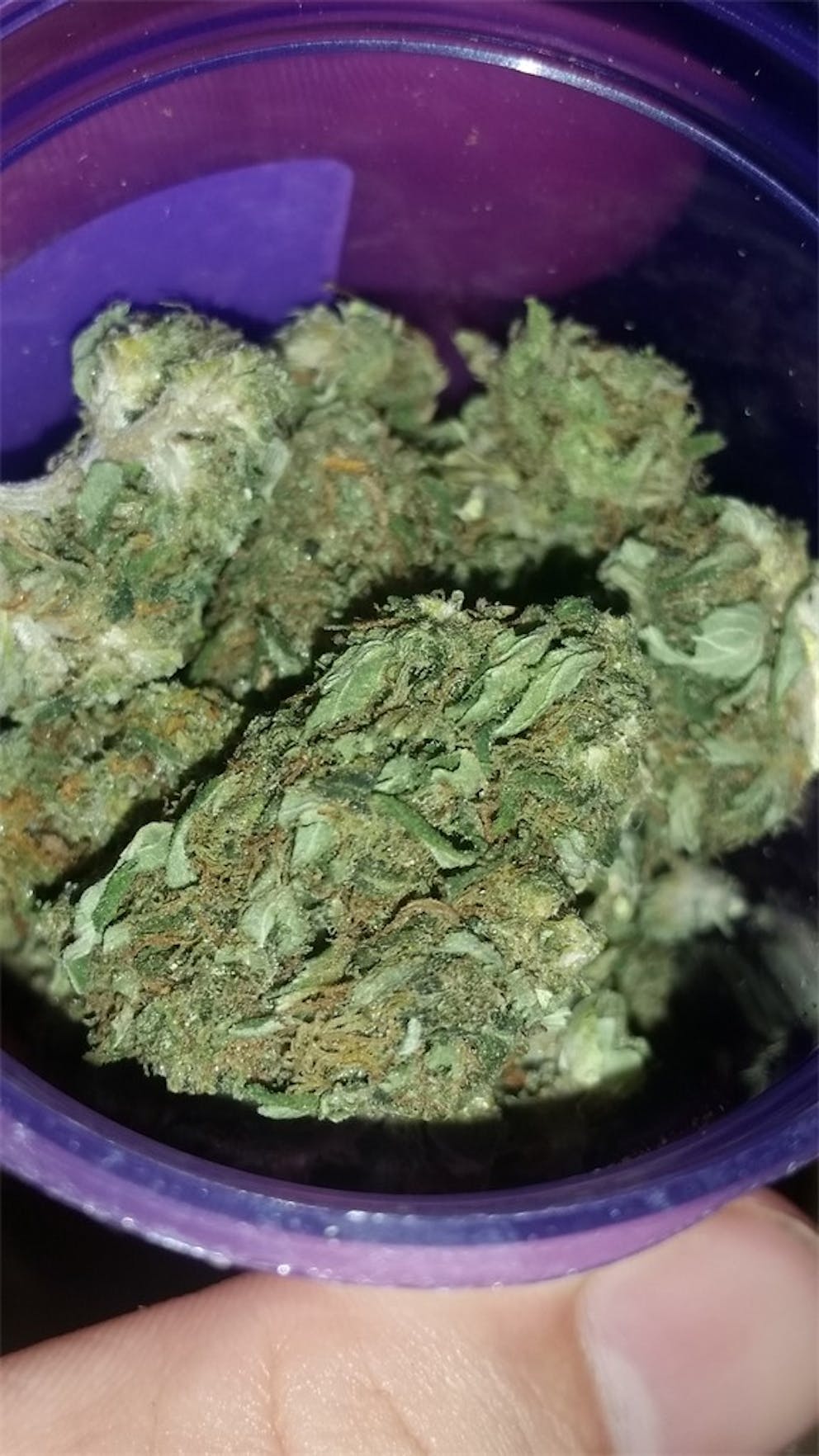 Photos of Red Poison Weed Strain Buds | Leafly