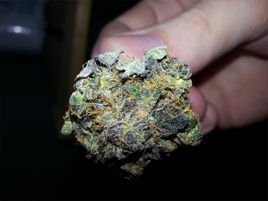 Photos of Rockstar Weed Strain Buds | Leafly