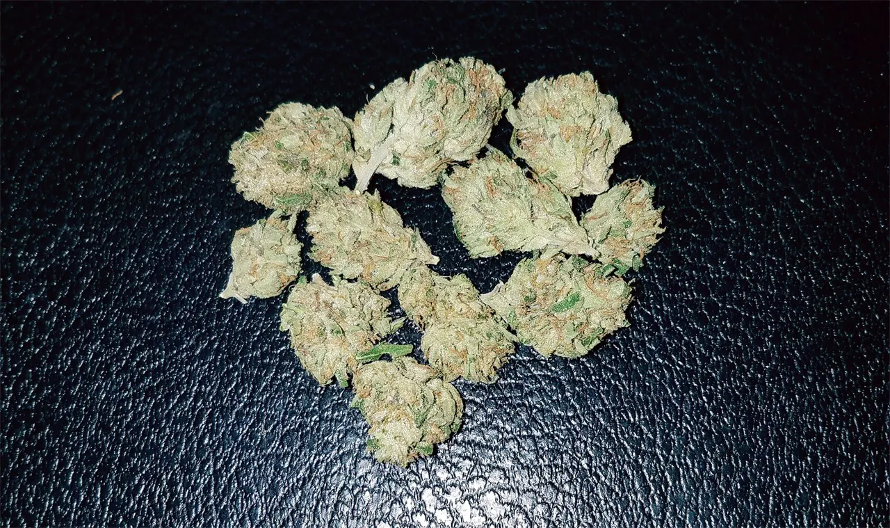 Photos of Root Beer Kush Weed Strain Buds | Leafly