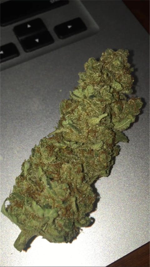 Royal Haze Weed Strain Information | Leafly