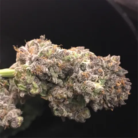 Sage and Sour aka Sage N Sour, S and S Weed Strain Information | Leafly