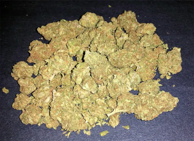 Photos of SAGE Weed Strain Buds | Leafly