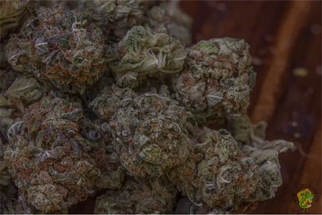 Photos of SAGE Weed Strain Buds | Leafly
