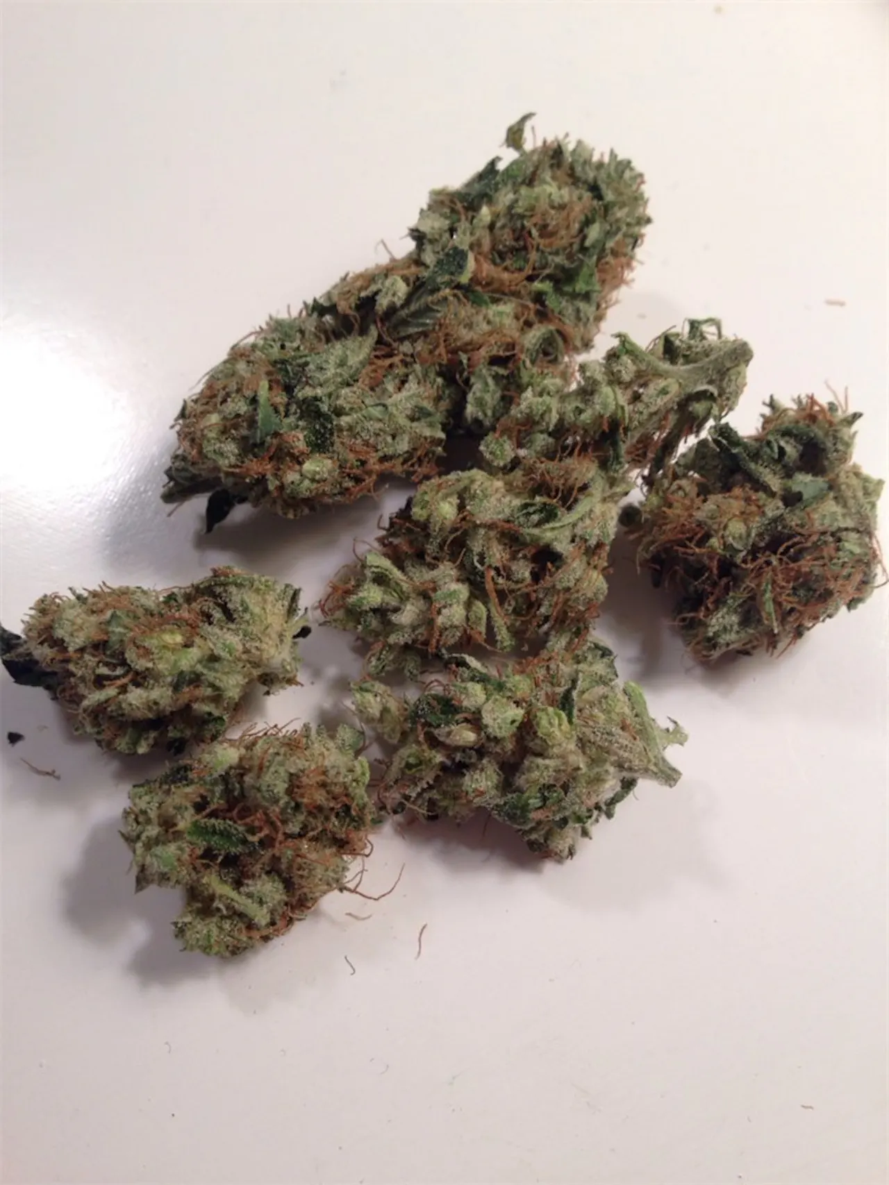 Photos of SAGE Weed Strain Buds | Leafly