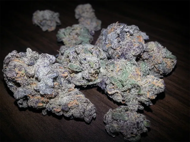 Photos of SAGE Weed Strain Buds | Leafly