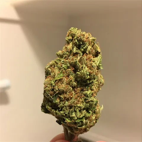 Sapphire Scout Weed Strain Information | Leafly