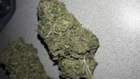 Sapphire Star aka Sapphire Weed Strain Information | Leafly