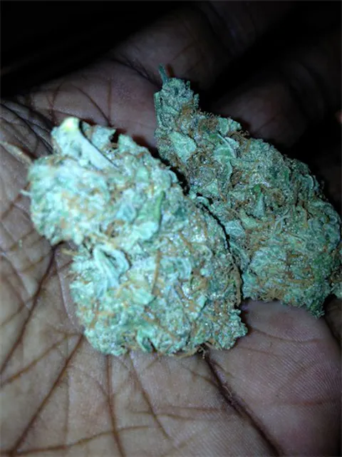 Satori Weed Strain Information | Leafly