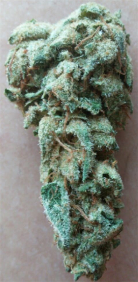 Saturn OG Weed Strain Information | Leafly