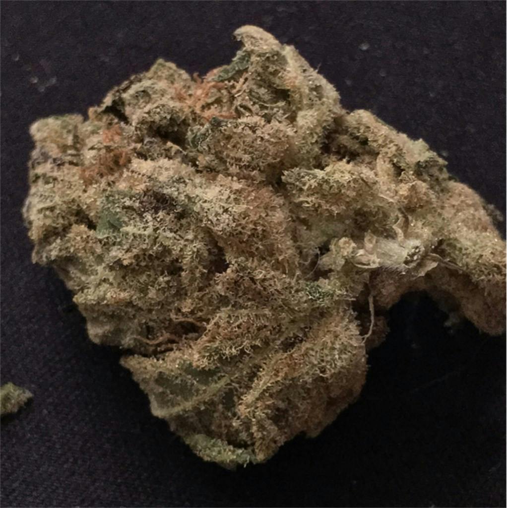 Sensi Star Weed Strain Effects & Reviews | Leafly