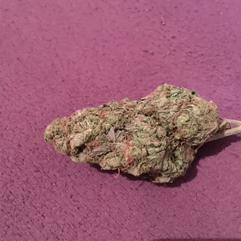 SFV OG Kush aka San Fernando Valley Kush, SFV OG, SFV, San Fernando ...