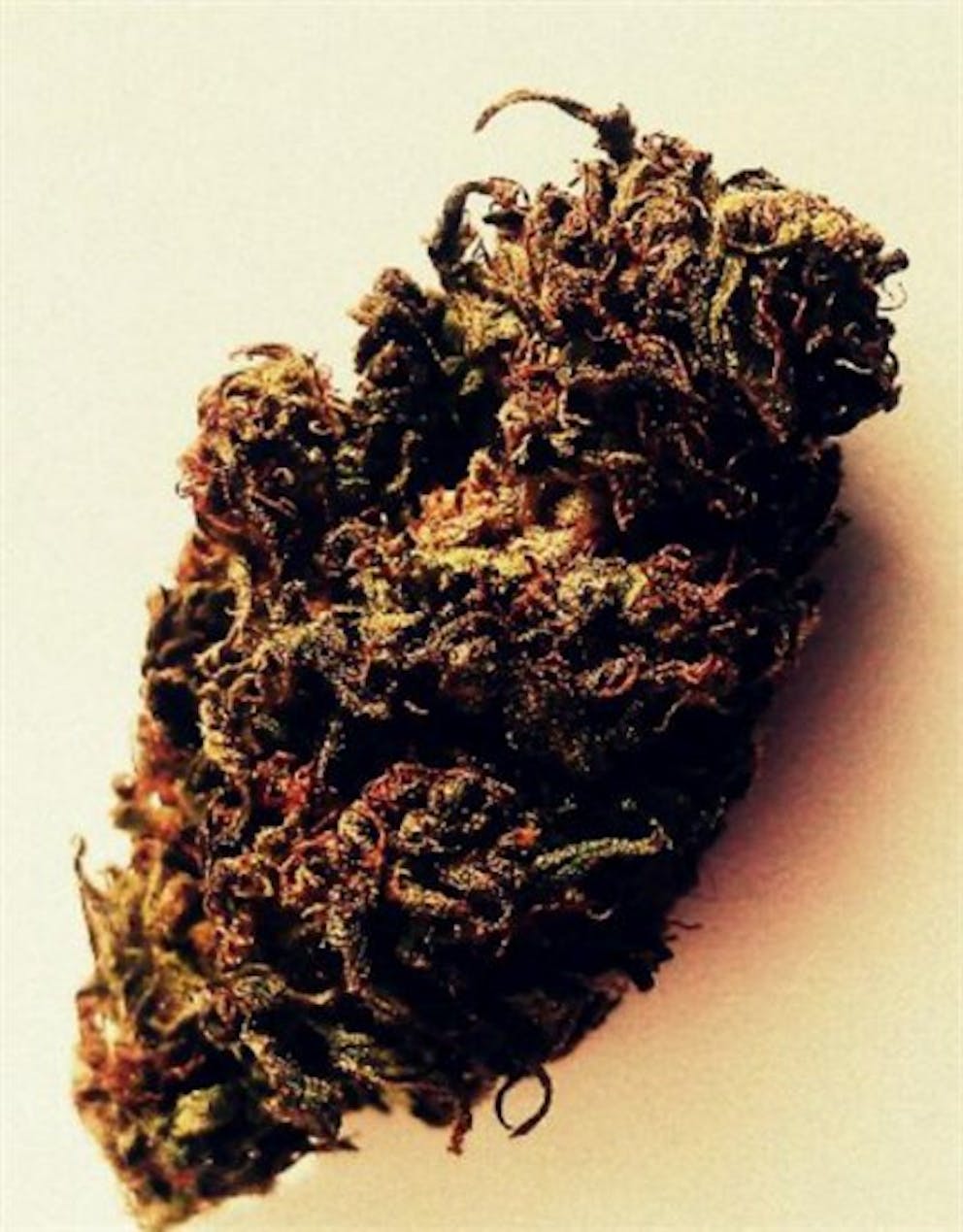 Photos of Shaman Weed Strain Buds | Leafly