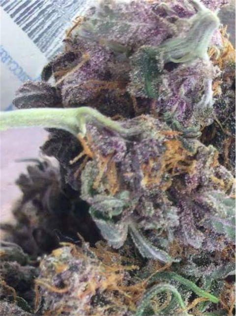 Shaman Weed Strain Information | Leafly