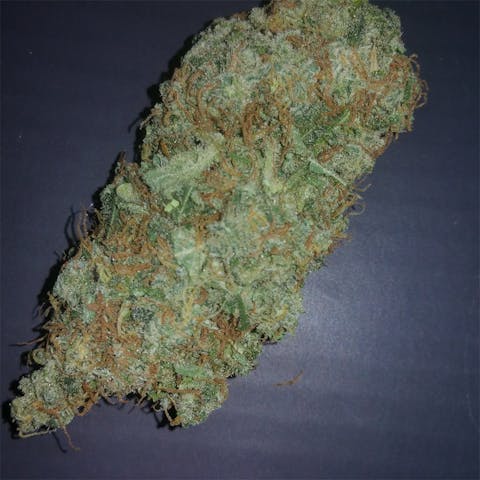 Shark Shock Weed Strain Information | Leafly