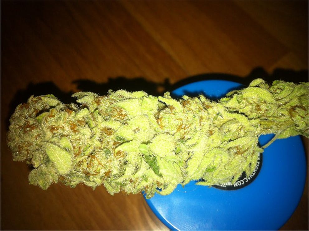 Photos of Sharksbreath Weed Strain Buds | Leafly