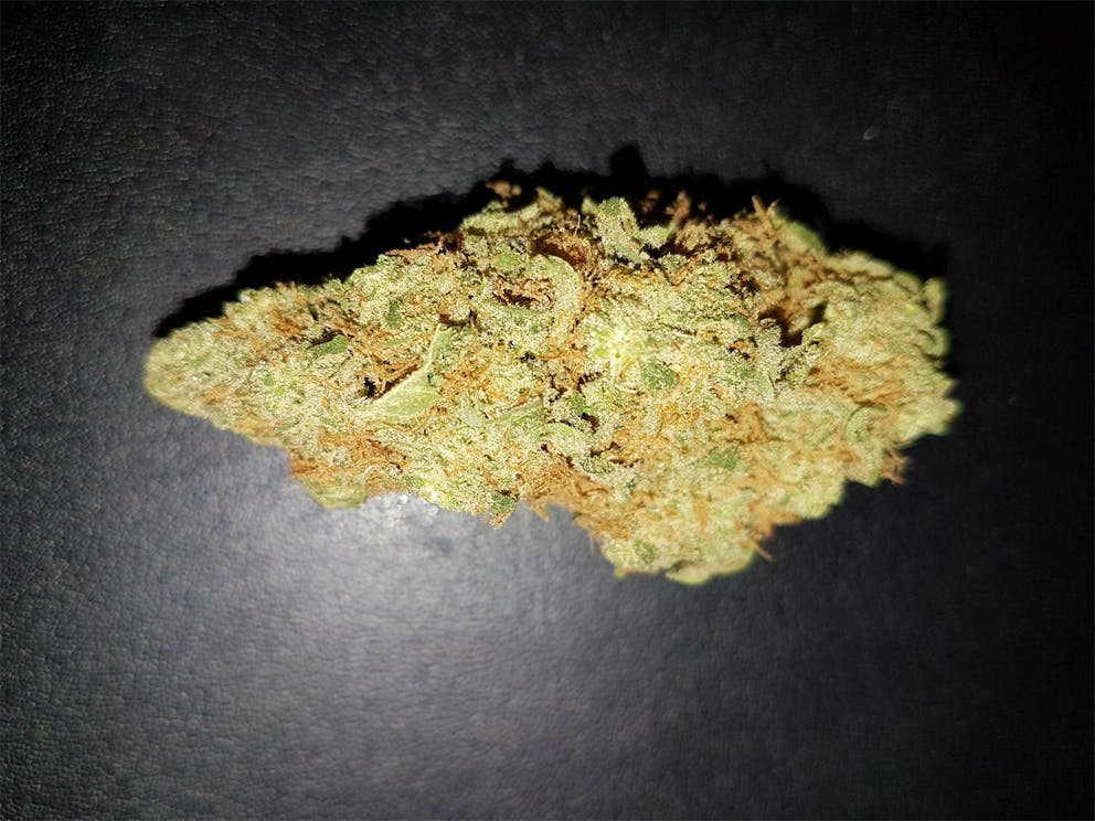 Photos of Sharksbreath Weed Strain Buds | Leafly