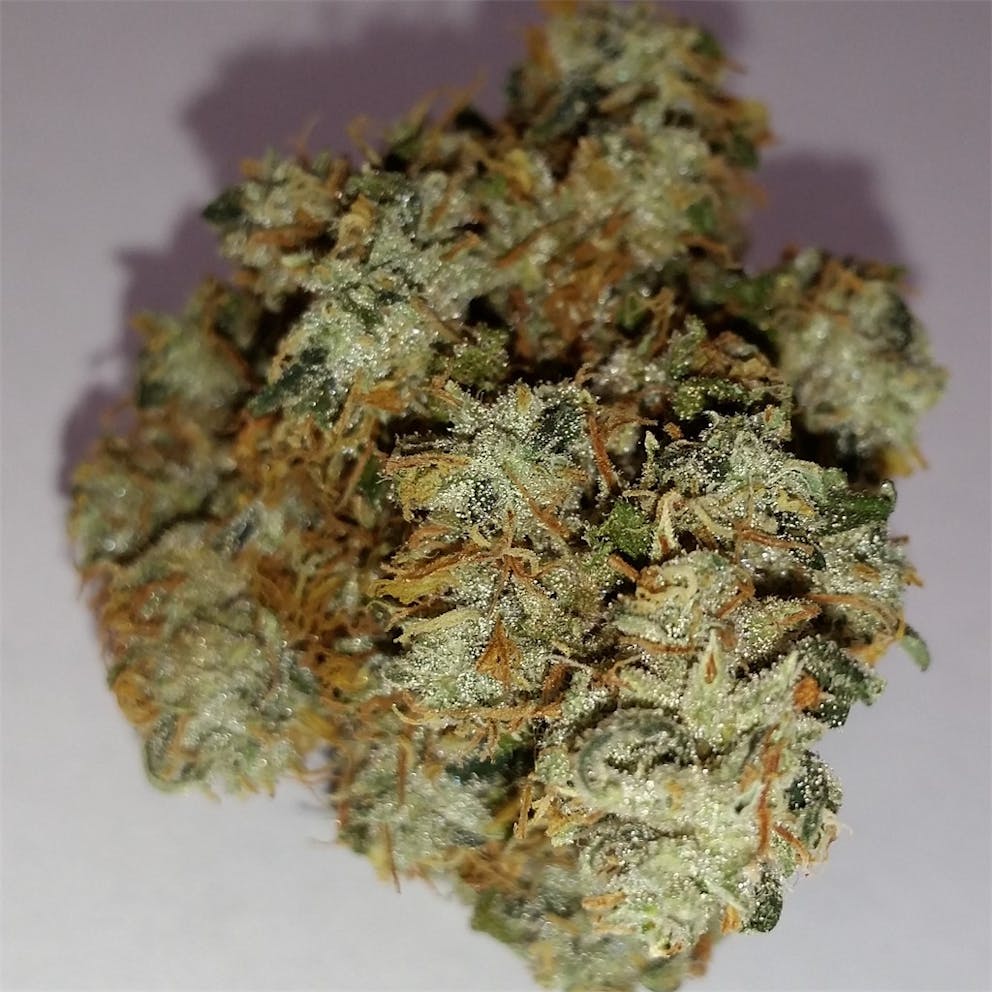 Photos of Silver Kush Weed Strain Buds | Leafly