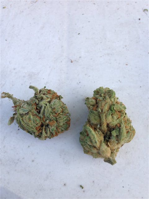 Silver Kush Weed Strain Information | Leafly