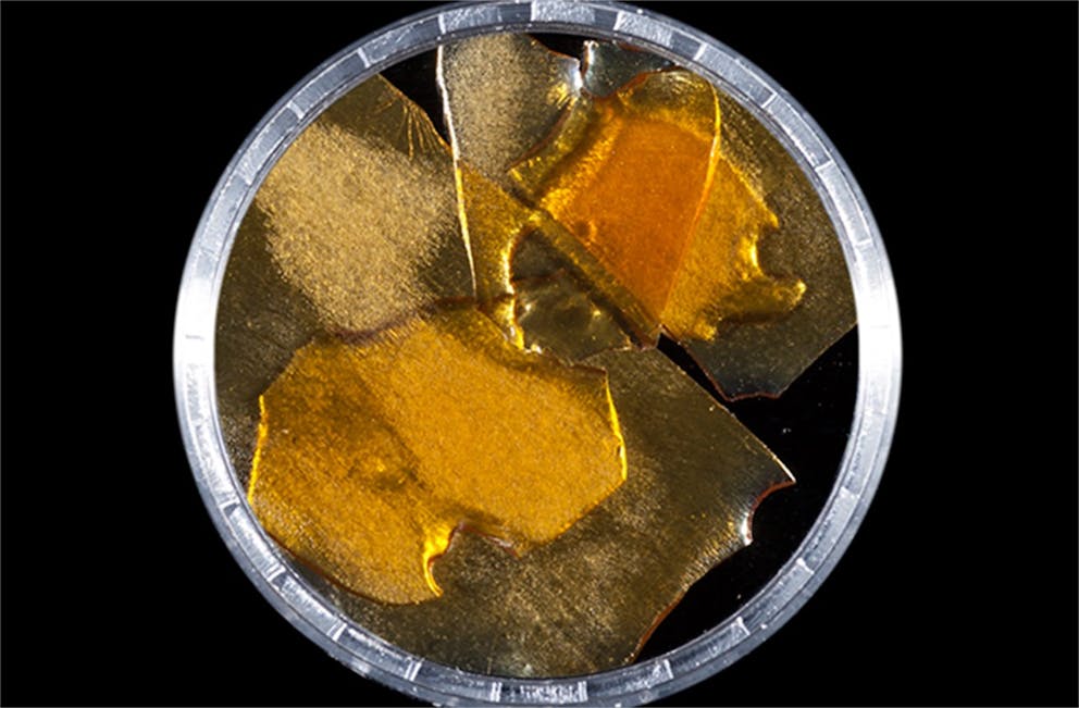 Photos of Silver Pearl Weed Strain Buds | Leafly