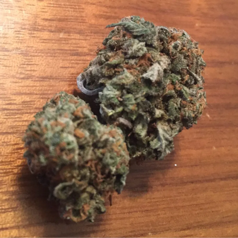 Photos of Silver Surfer Weed Strain Buds | Leafly