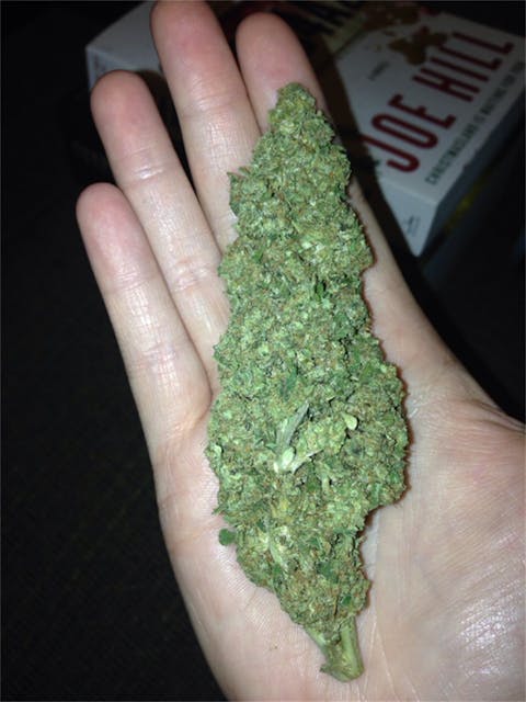 SinMint Cookies aka SMC, Sin Mint Weed Strain Information | Leafly