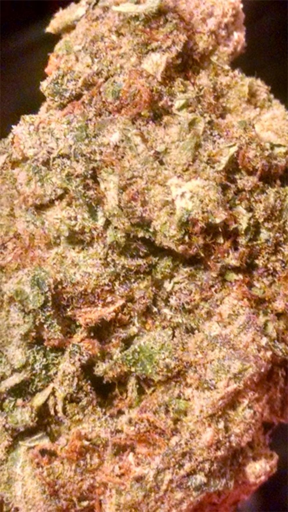 Photos of Skunkberry Weed Strain Buds | Leafly