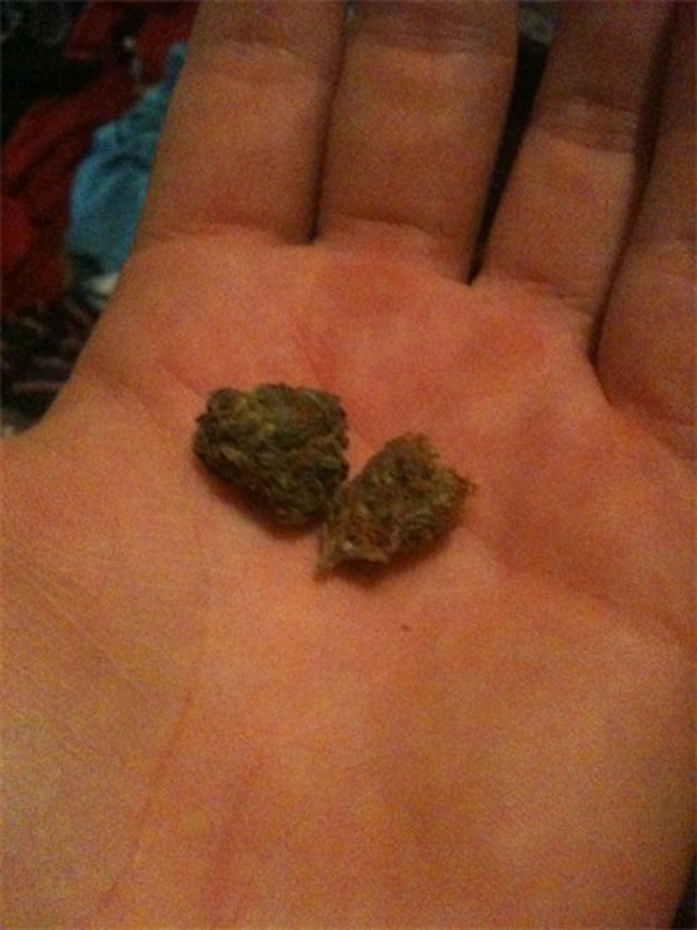 Photos of Skunky Diesel Weed Strain Buds | Leafly