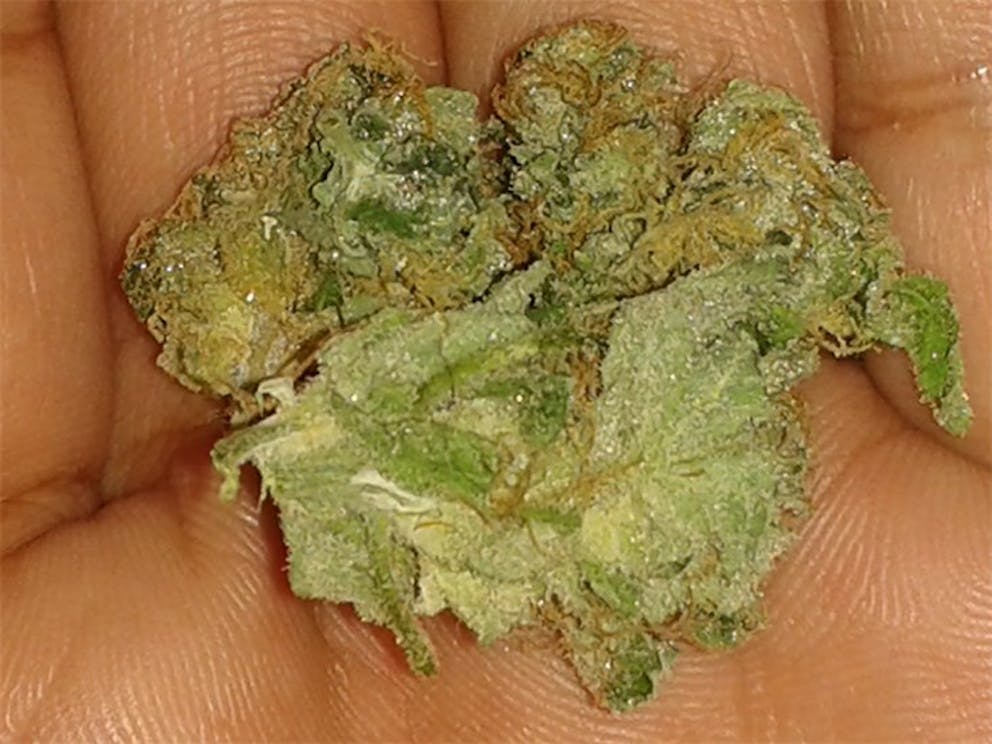 Photos of Skunky Diesel Weed Strain Buds | Leafly