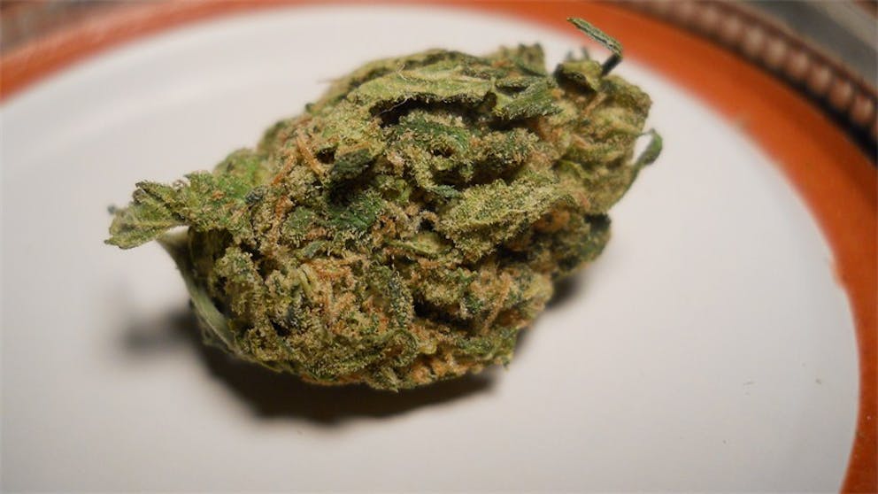 Photos of Skunky Diesel Weed Strain Buds | Leafly