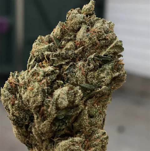 Snoop Dogg OG aka Snoop Dogg OG Kush, Snoop's OG Weed Strain ...