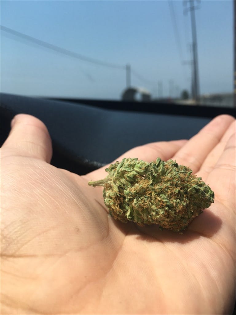 Snoop Dogg OG aka Snoop Dogg OG Kush, Snoop's OG Weed Strain ...