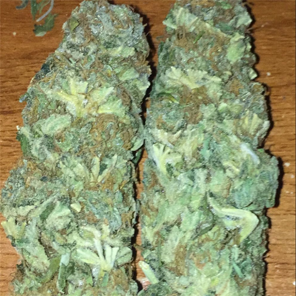 Photos of Snoop's Dream Weed Strain Buds | Leafly