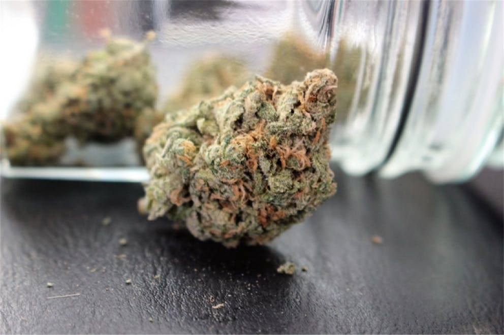 Photos of Snoop's Dream Weed Strain Buds | Leafly