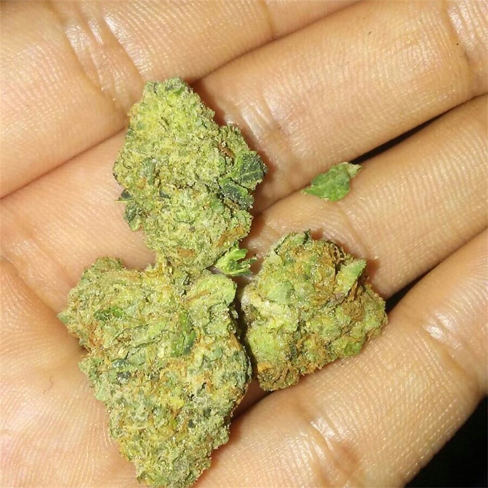 Photos of Snow Bud Weed Strain Buds | Leafly