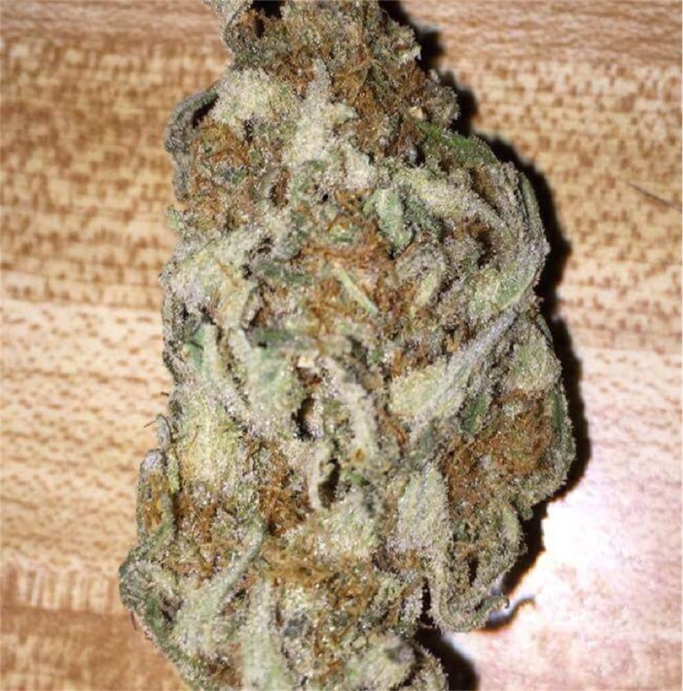 Photos of Snow Leopard Weed Strain Buds | Leafly