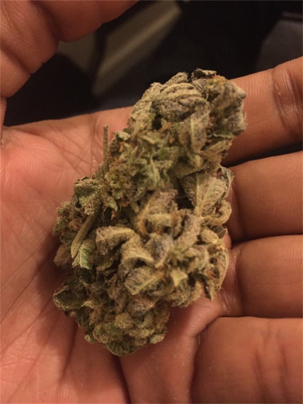 Photos of Snowcap Weed Strain Buds | Leafly