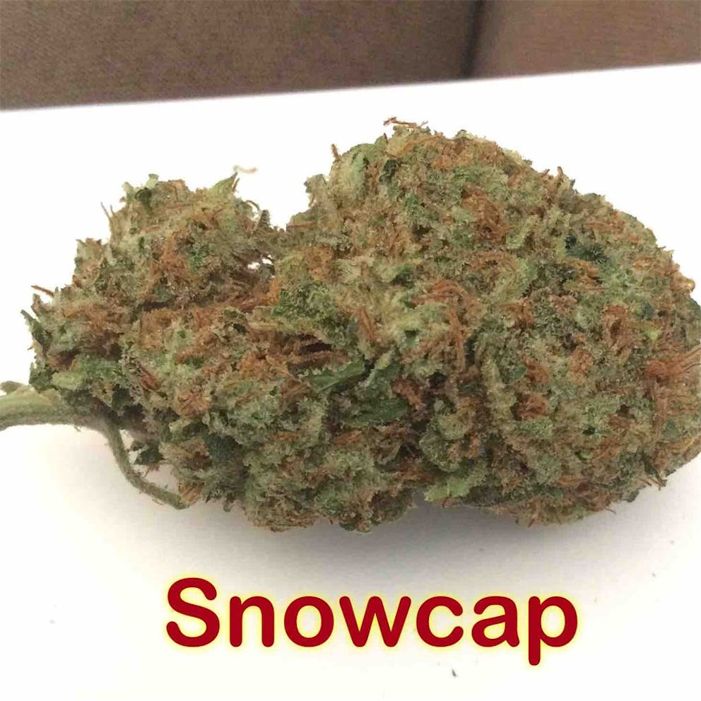 Photos of Snowcap Weed Strain Buds | Leafly
