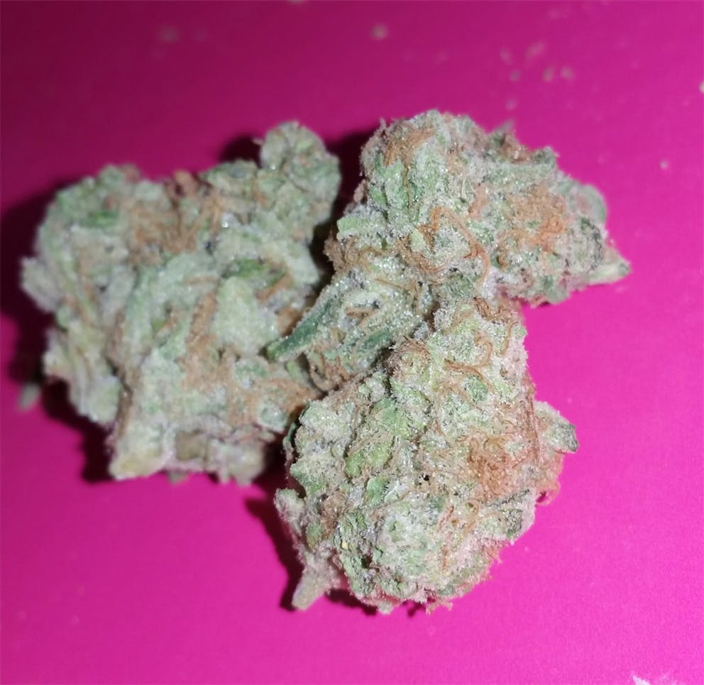 Photos of Sonoma Coma Weed Strain Buds | Leafly